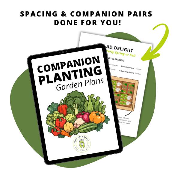 Companion Planting Garden Plans - Daily Skill Building